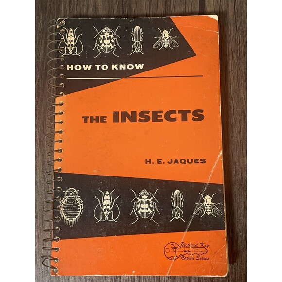 Accents | How To Know Insects H E Jaques Pictured Key Nature Series ...